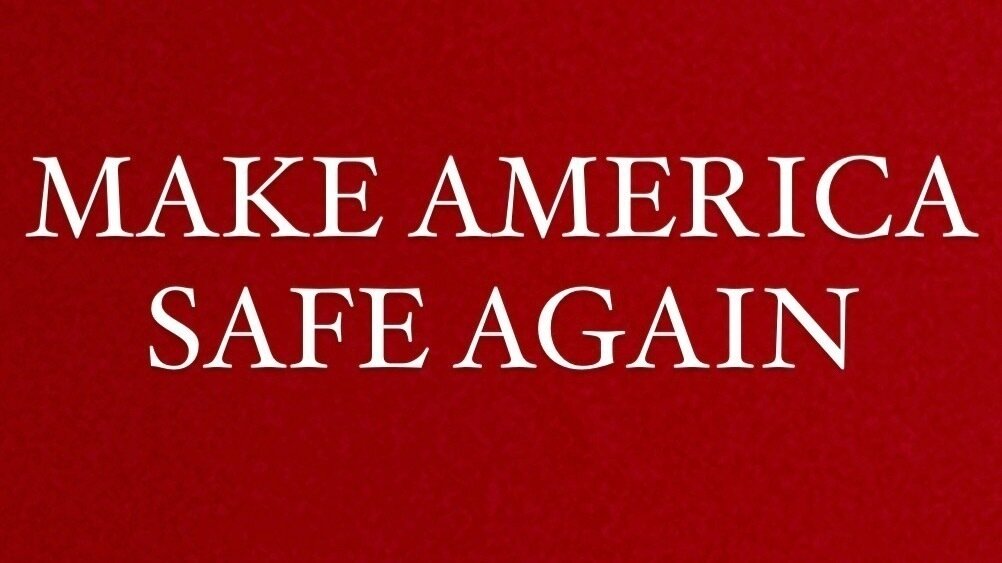 Petition · Make America Safe Again - United States · Change.org