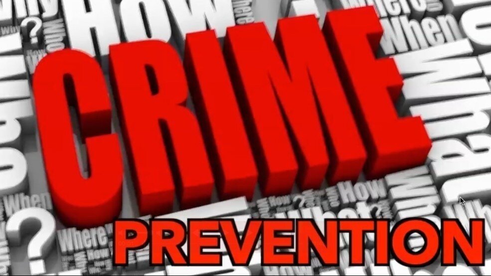 Petition · Implement a Community Responders Dispatching 24-Hour Team to ...