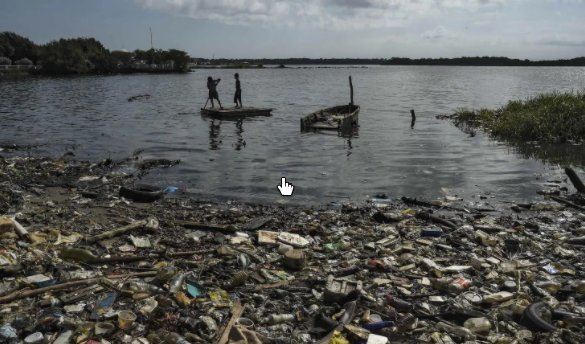 Petition · Enviromental Issues and Energy in Venezuela - United States ...