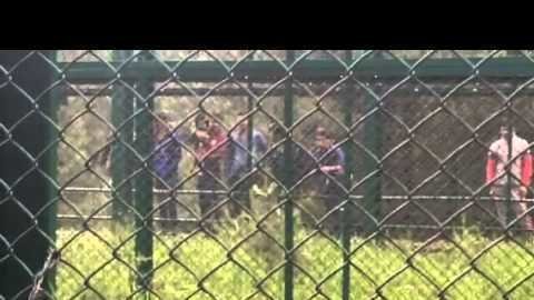 Petition · Shutdown of Pahalgam Zoo - India · Change.org