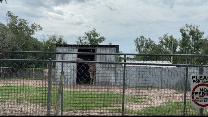 Petition · Demand the Permanent Closure of Tregembo Animal Park ...
