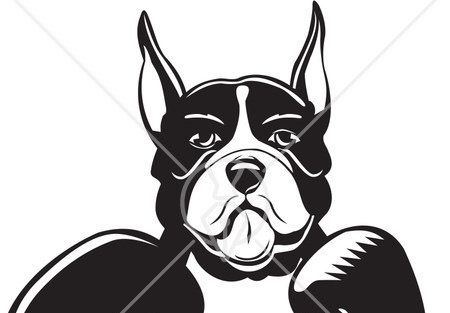 Petition · END THE COLD WAR IN BOXING - United States · Change.org