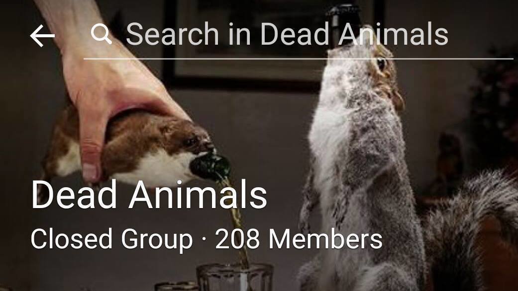 Petition · Get DEAD ANIMALS and Punting Cats For Newbies Removed From ...
