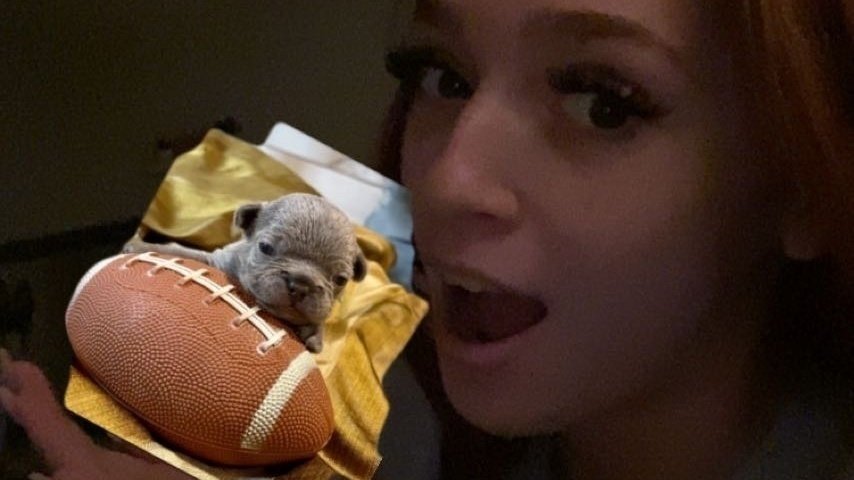 Petition · Rocky buys Victoria a puppy - United States · Change.org