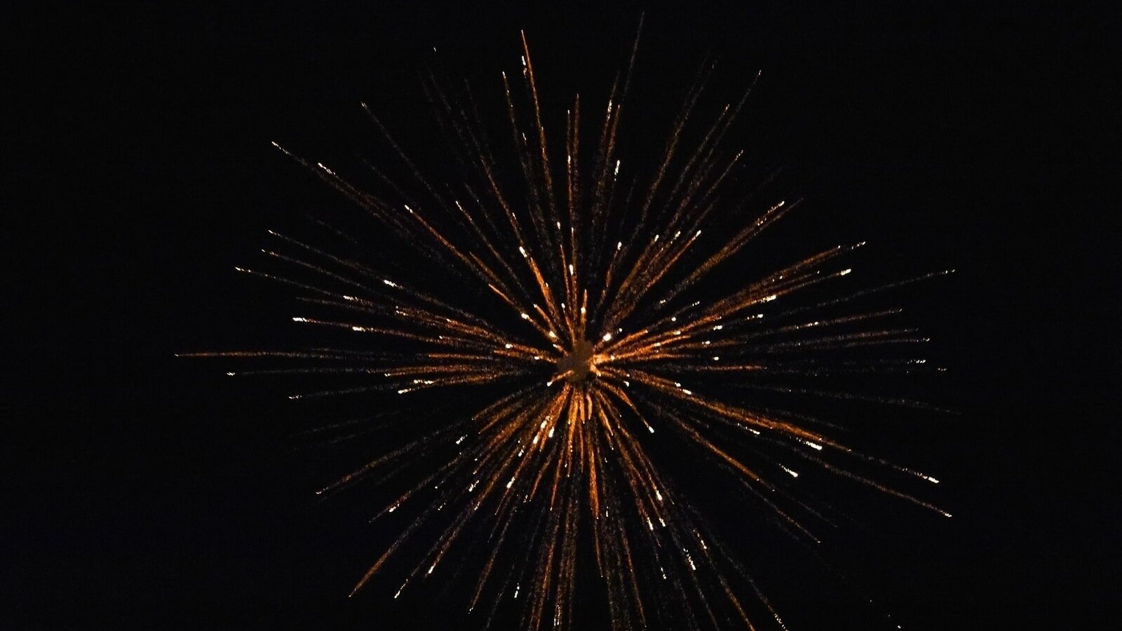 Petition · Ban fireworks for personal use to protect pets and animals ...