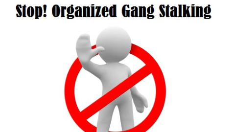 Petition · Targeted Individuals Lives Matter - United States · Change.org