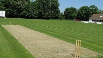 Petition · Cricket Playground in Bamberg - Bamberg, Germany · Change.org