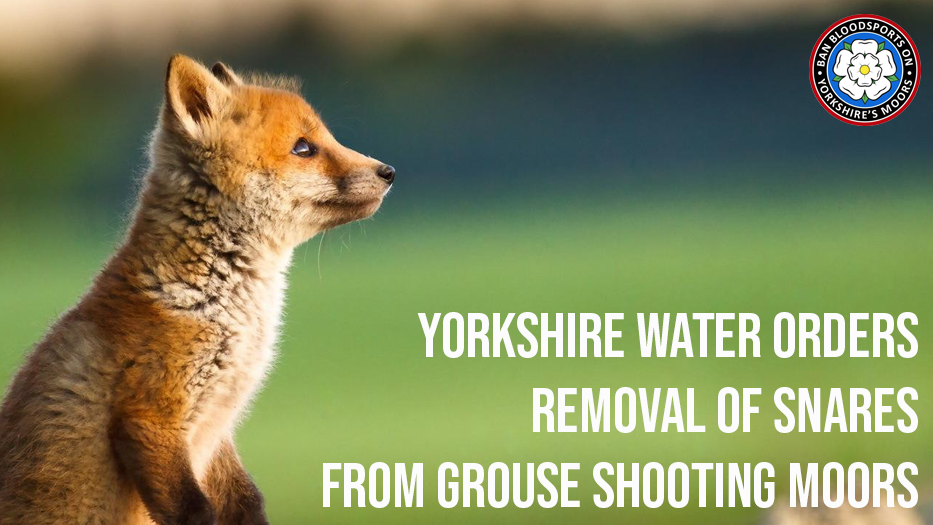 Petition update · Yorkshire Water orders removal of snares from grouse ...