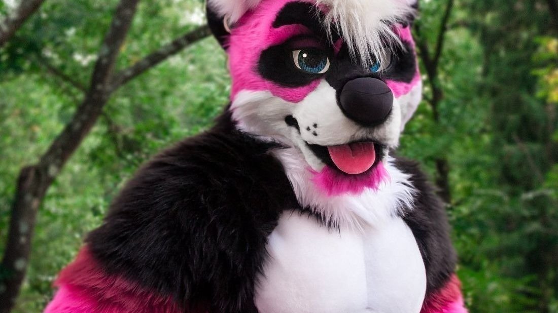 Petition · bring back channelle - New Zealand · Change.org