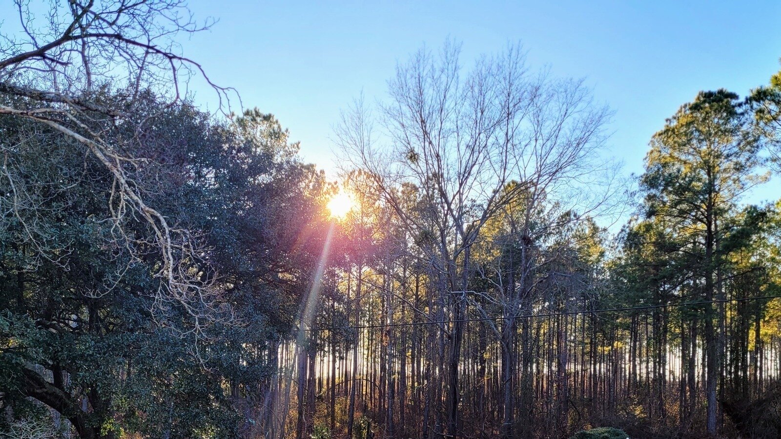 Petition · Mandate Max. Open Space/Buffer on Beverly & Malvern Hills ...