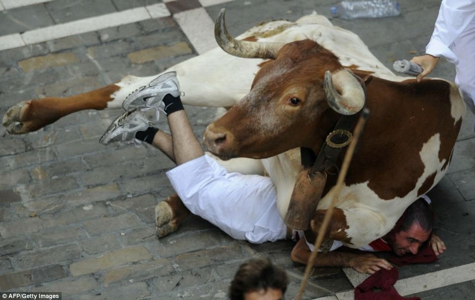Petition · California - Stop the Great Bull Run - United States ...
