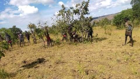 Petition · STOP BANDITRY IN BARINGO. - Kenya · Change.org