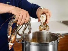 Petition · Ban cooking live animals UK - United Kingdom · Change.org