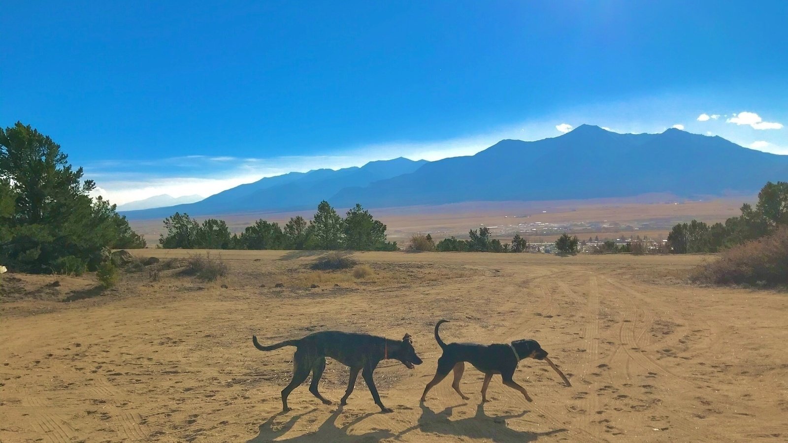 Petition · Repeal proposition 114 in the State of Colorado - United ...