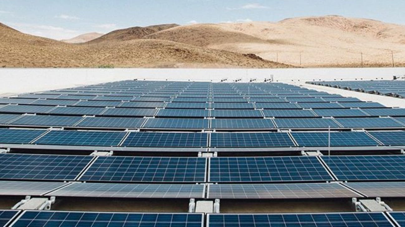 Petition · Get Tesla to help change the environment - United States ...