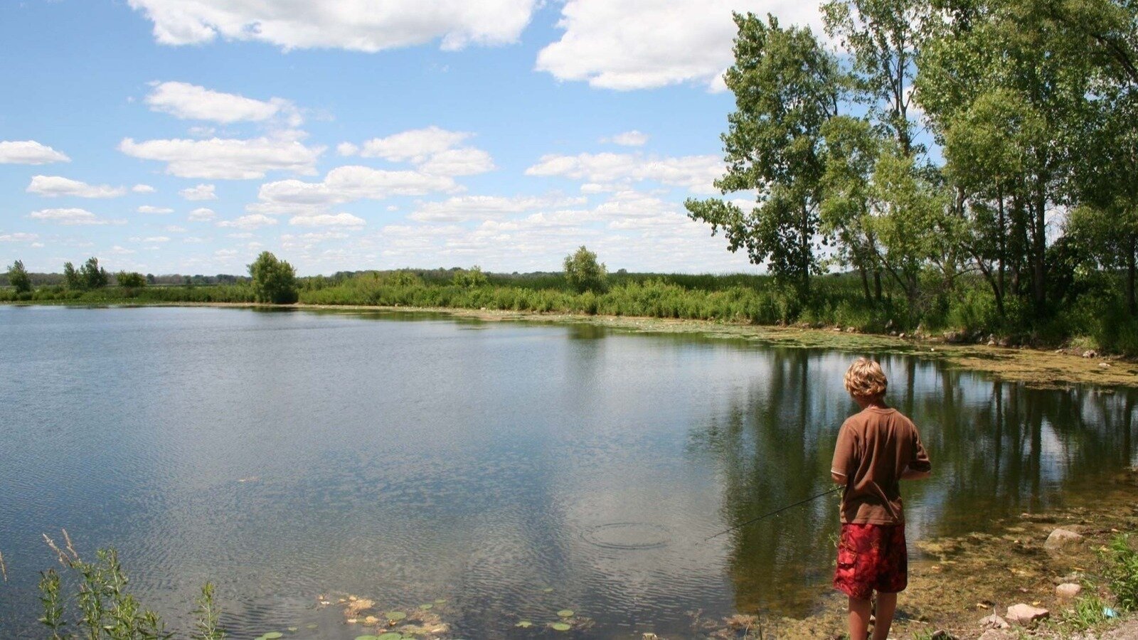 Petition · Protect Holiday Beach Conservation by disallowing ALL ...