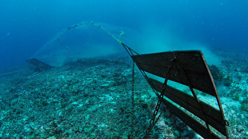Petition · Ban Bottom Trawling in Canada! - Canada · Change.org