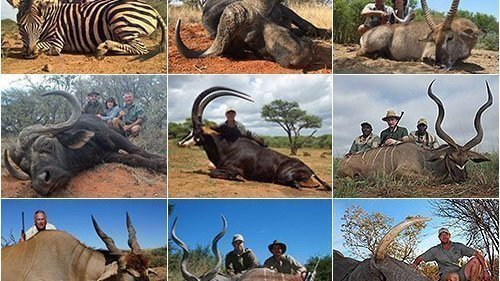 Petition · Stop Wildlife Hunting - Philippines · Change.org