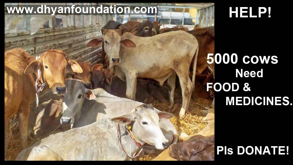 Petition · #5000 COWS Rescued by BSF Need FOOD/MEDICINES. Please HELP ...