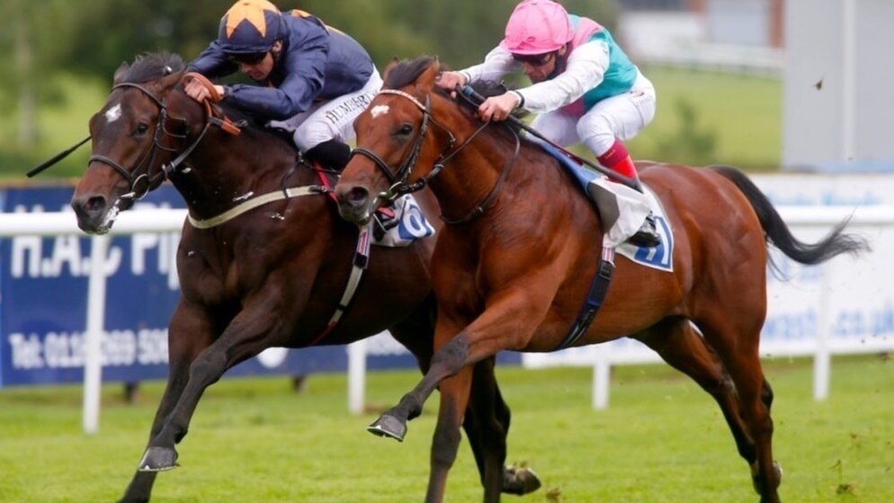Petition · Raise the Minimum Age for Thoroughbred Racing to 4 Years ...