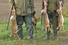 Petition · STOP Rabbit hunting - United Kingdom · Change.org