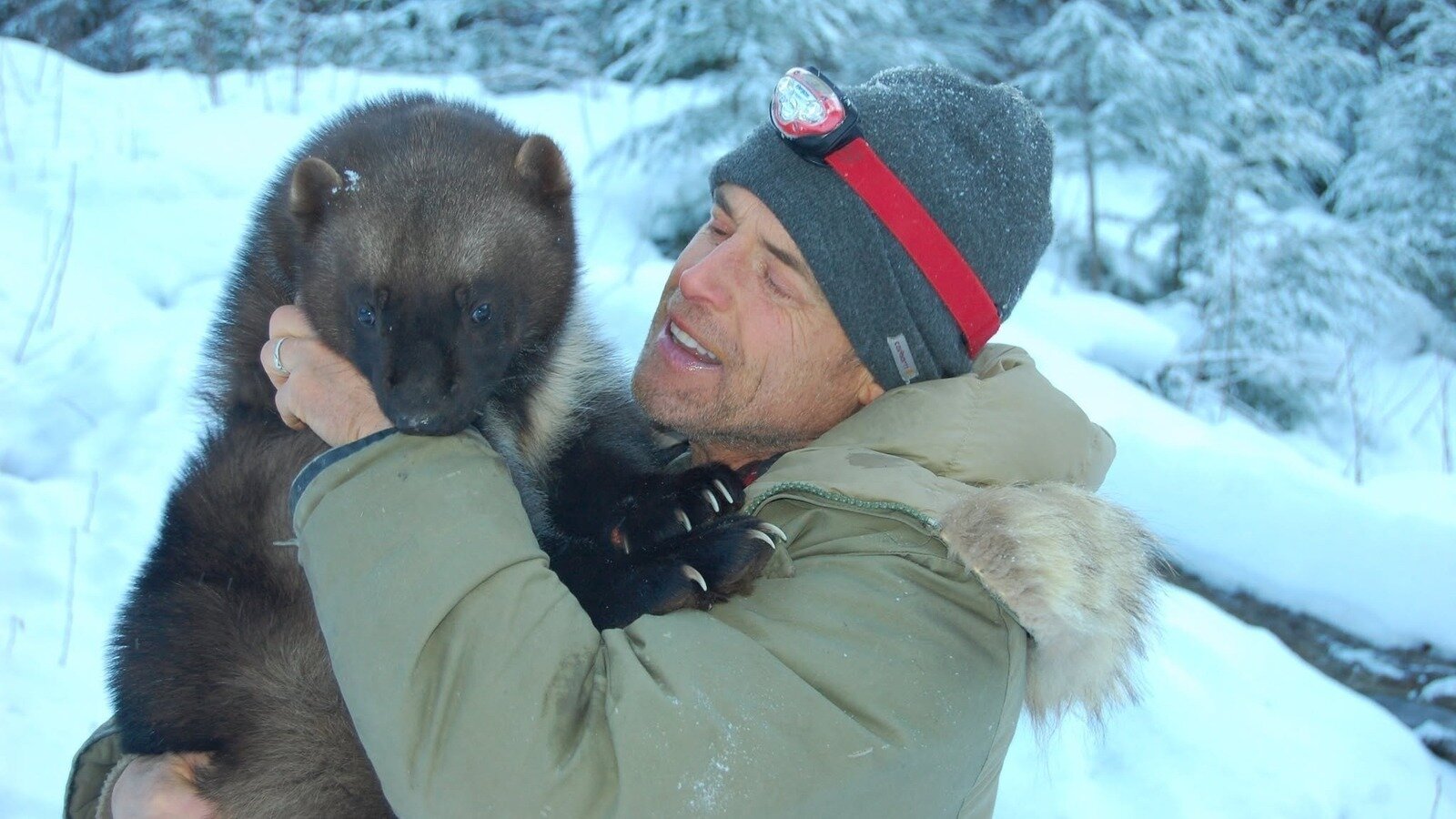Petition · Stop the Closure of the Kroschel Wildlife Center in Haines ...