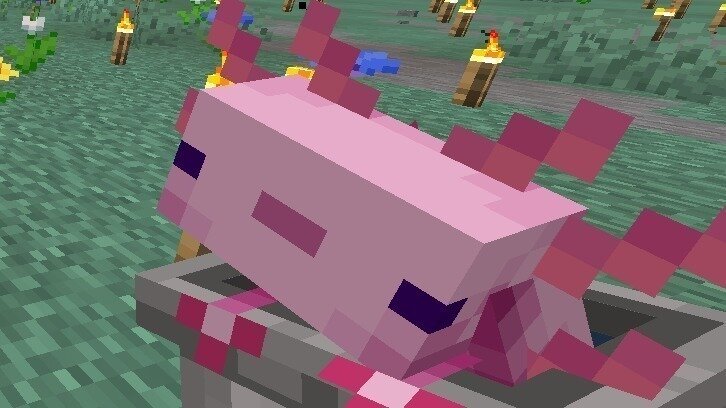 Petition · Encourage Collaboration Between Haileyepic3 and Blaze VR ...