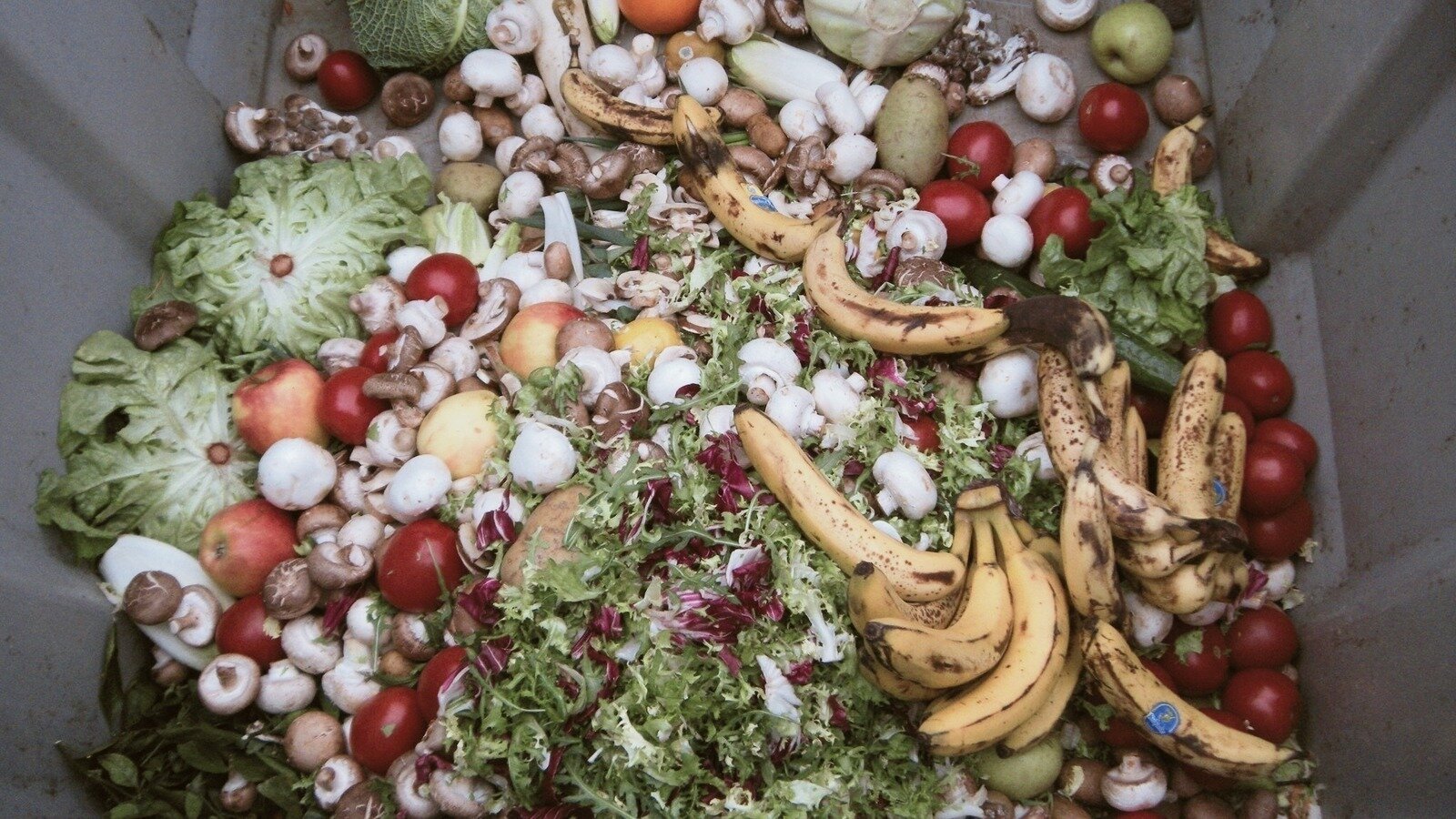 Petition · Stop the Scandal: End Food Waste Now! - Philippines · Change.org
