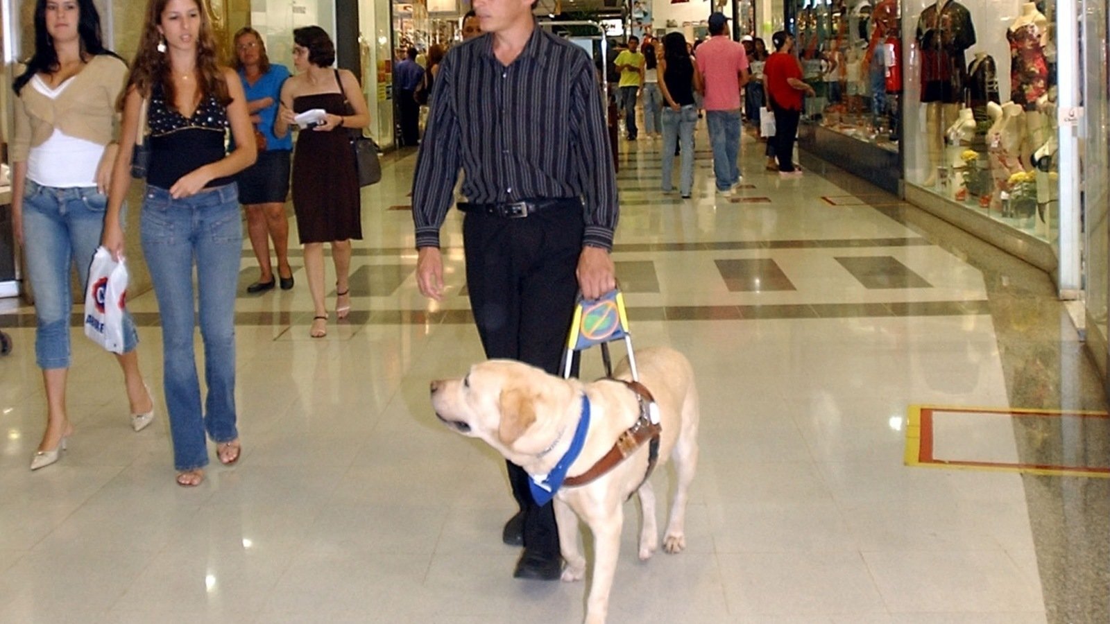 Petition · Texas Needs Guide Dogs - United States · Change.org