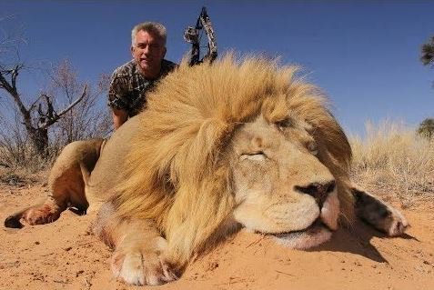 Petition · STOP ANIMAL TROPHY HUNTING - Philippines · Change.org