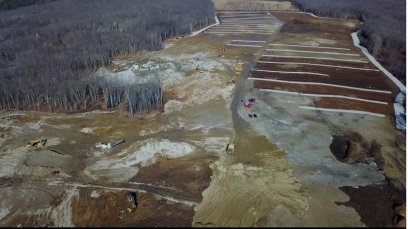 Petition · Stop The Decimation of 243 More Trees · Change.org