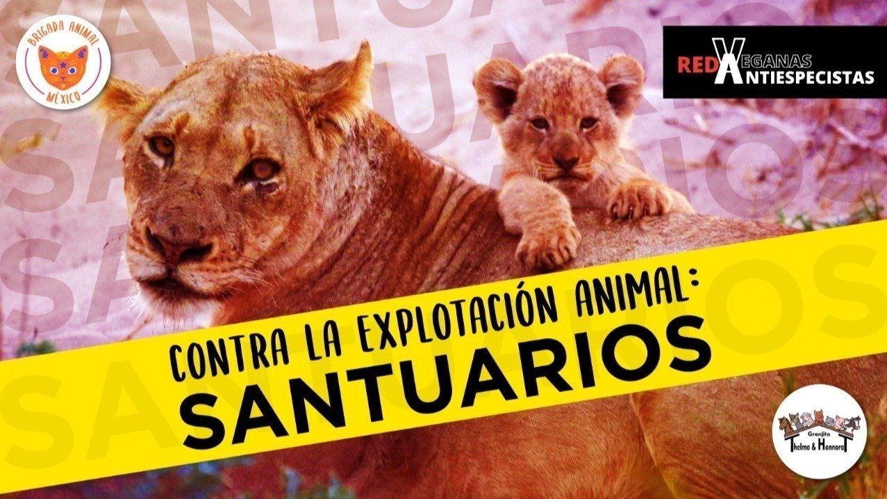 Petición · Contra la explotación animal: santuarios - México · Change.org