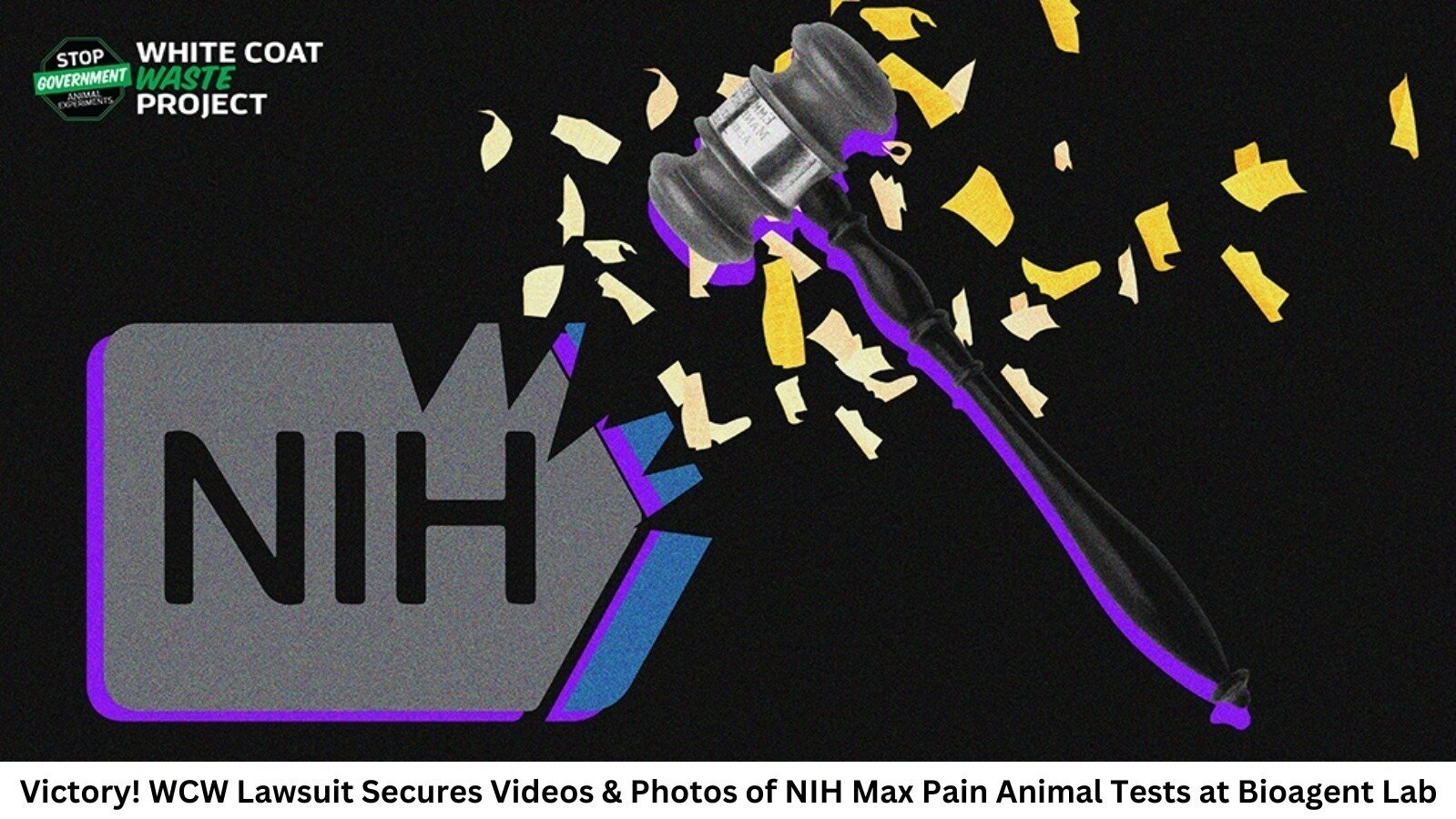 Petition update · TAKE ACTION: Help WCW shut down maximum-pain ...