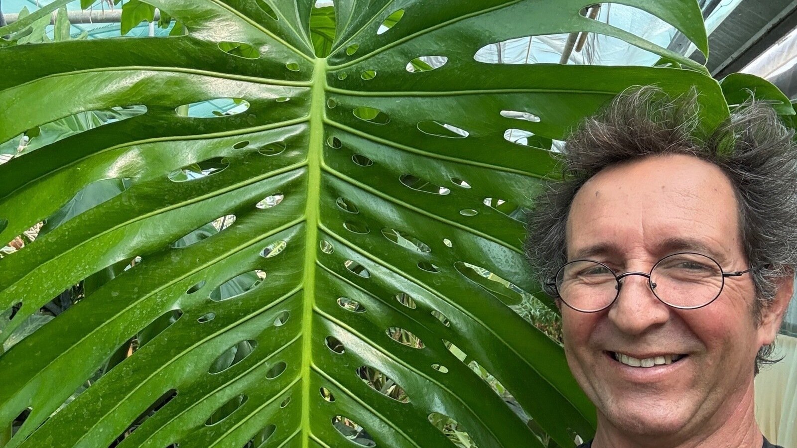 Pétition · 👉 Sauvons la serre aux orchidées de Hugues Le Houelleur à ...