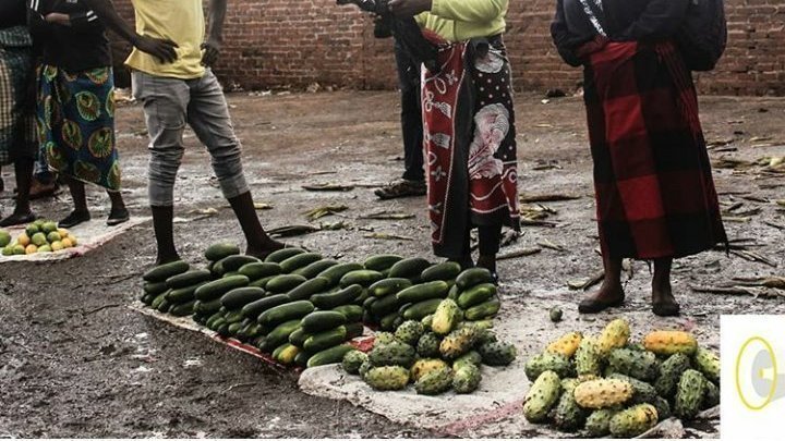 Petition · Renovate Sakubva and Mbare Musika Now. - Zimbabwe · Change.org