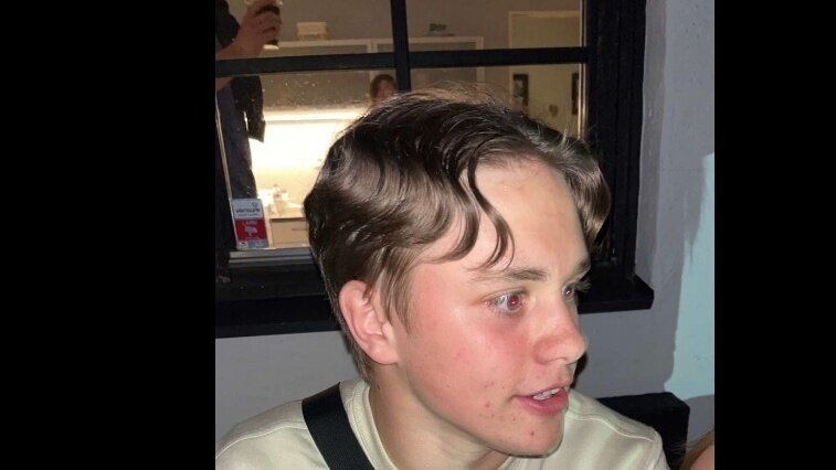 Petition · Bring back Hampus mittbena - Sweden · Change.org