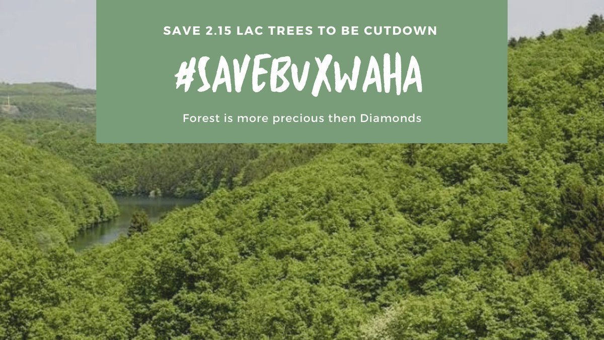 Petition · Save Bakswaha forest - India · Change.org