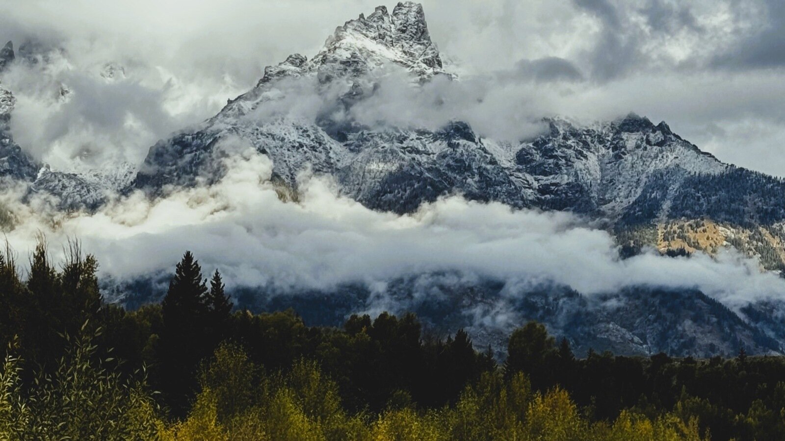 Petition · Implement Free Access to All State Parks for Military ...