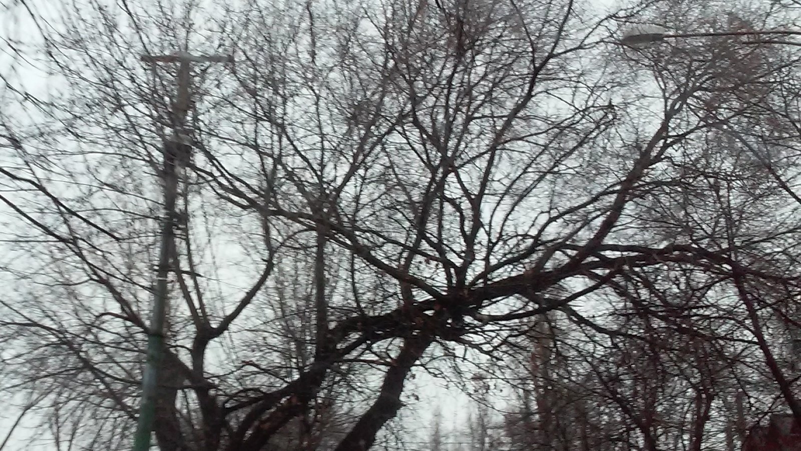 Petition · Vrem un oras verde si curat. - Moldova · Change.org