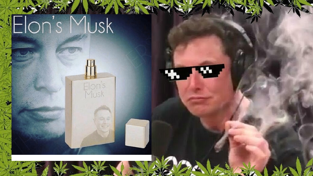 Petition · Get Elon Musk to release a cologne called "Elon's Musk ...