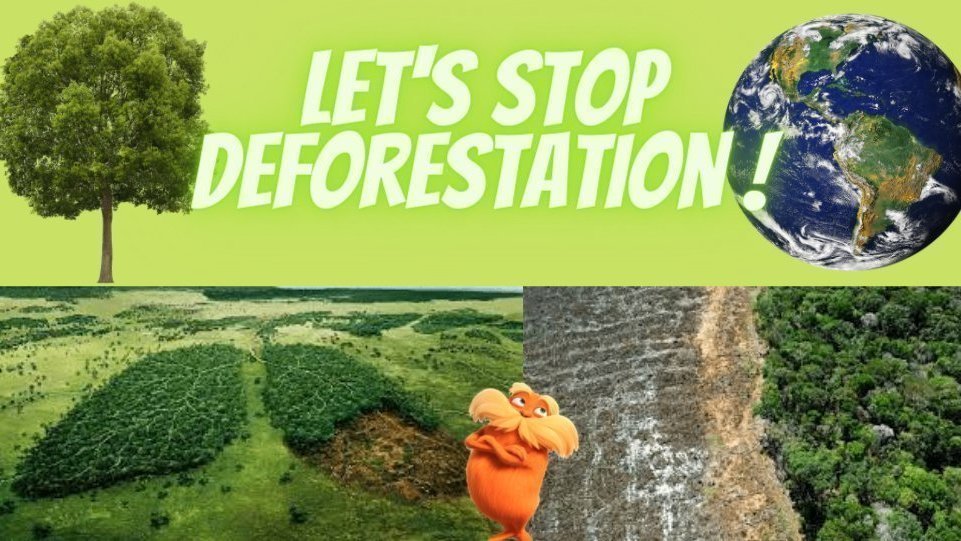 Petition · Let's stop deforestation in Dubbo, NSW! - Dubbo, Australia ...