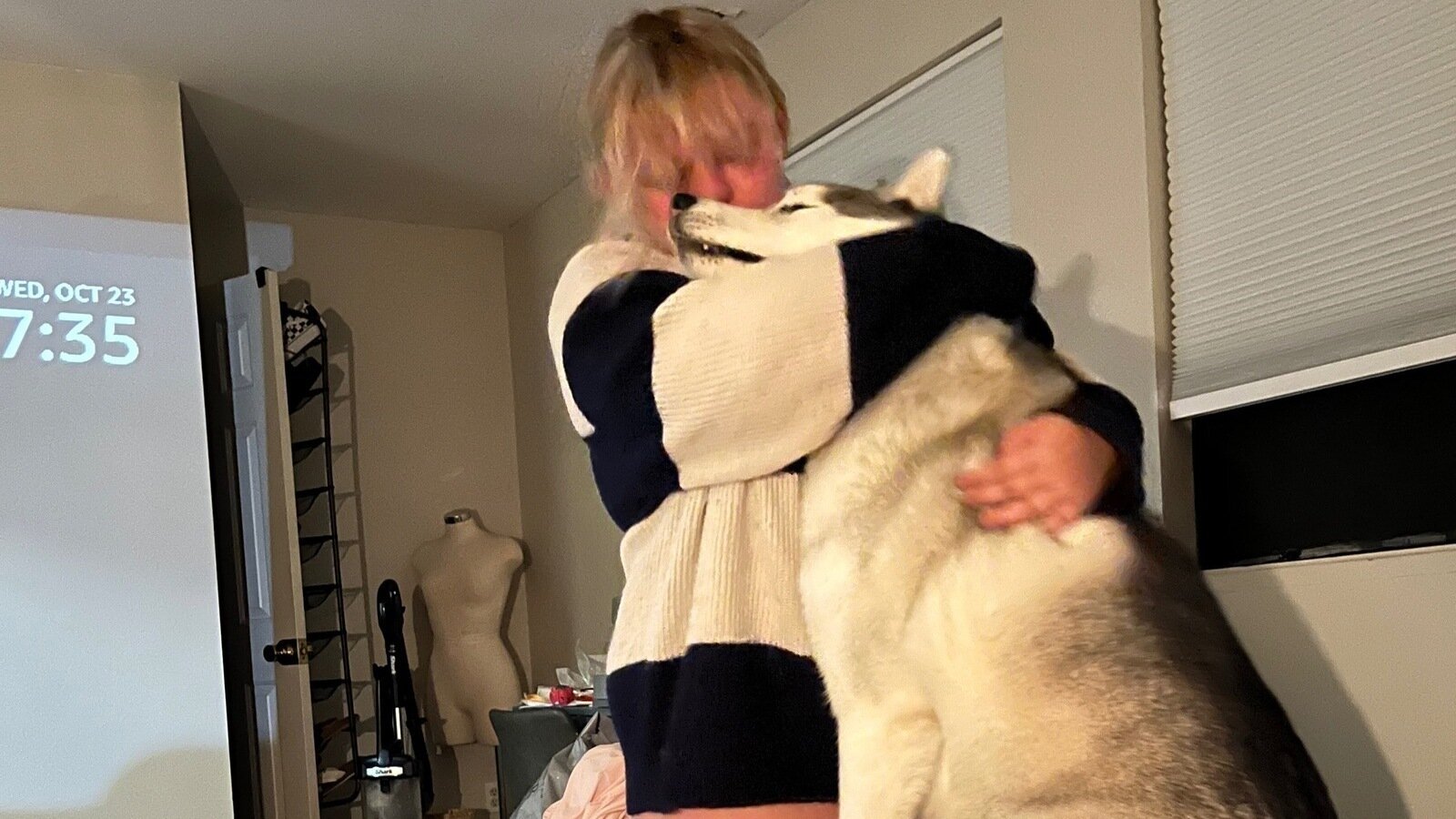 Petition · Implement Pedestrian Push Buttons at Long Hill Crosswalks ...