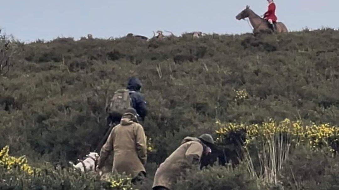 Petition · Ban Fox Hunting Nationwide - United Kingdom · Change.org