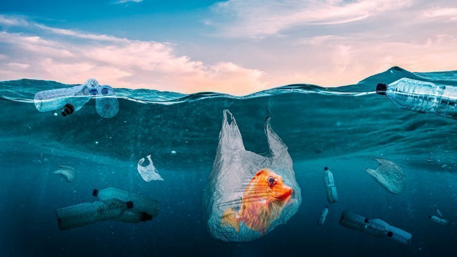Petition · clean and beautiful marine life - Malaysia · Change.org