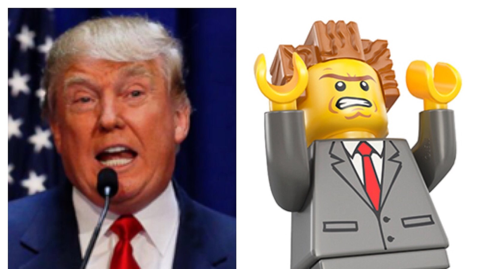 Petition · Legally change Donald Trump's name/official title to ...