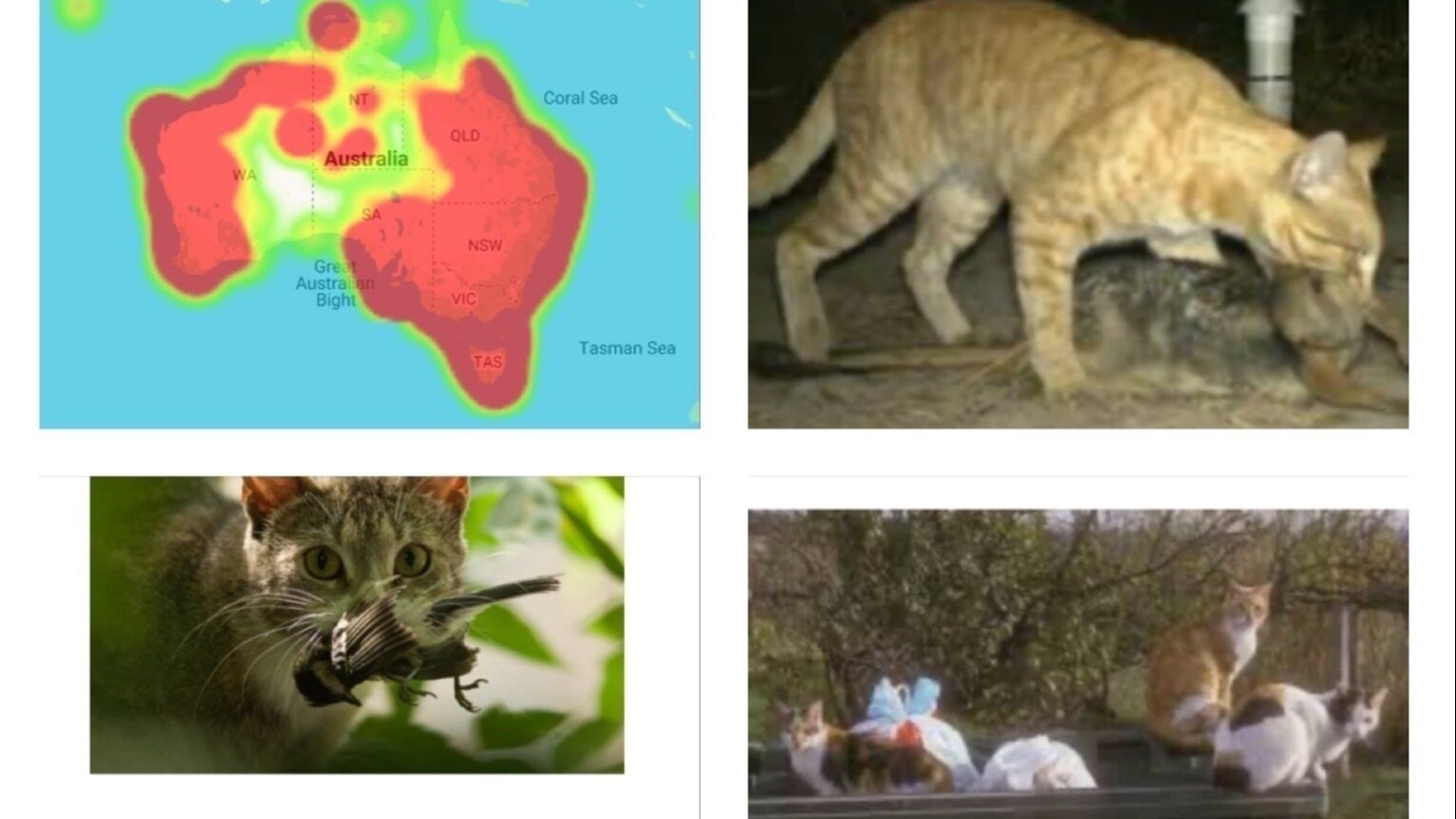 Petition · Demand Local Council to Implement measures in the Pest ...