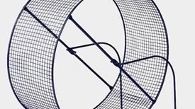 Petition · Stop selling wire/mesh hamster wheels - United States ...