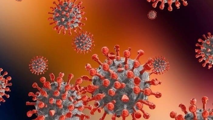 Petition · Petition to name the next Covid variant ‘Ligma’ - New ...