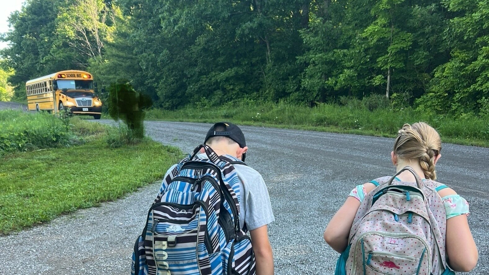 Petition · Help Support Hamilton Bus Lines! - Canada · Change.org