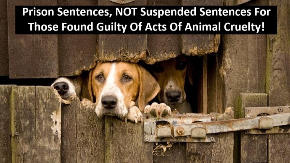 Petition · Impose Prison Sentences, NOT Suspended Sentences For ALL ...